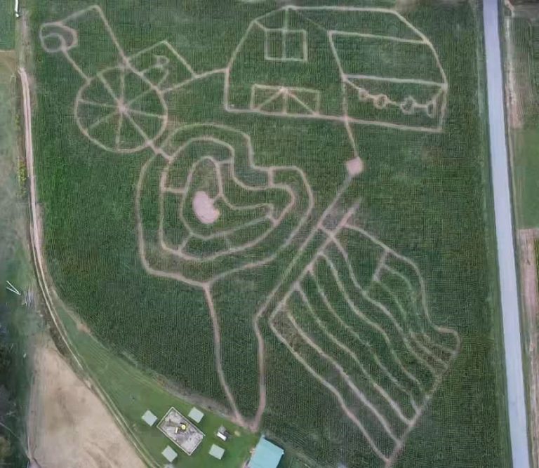 Cove Run Farms – Cove Run Corn Maze